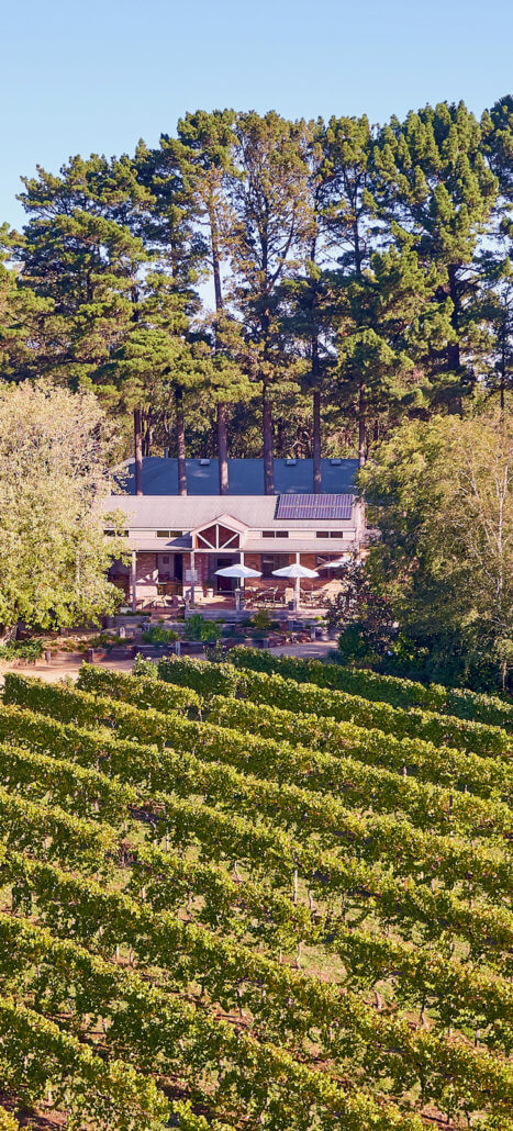 Main Ridge Estate: Great Value In Small Quantities From Australia’s ...