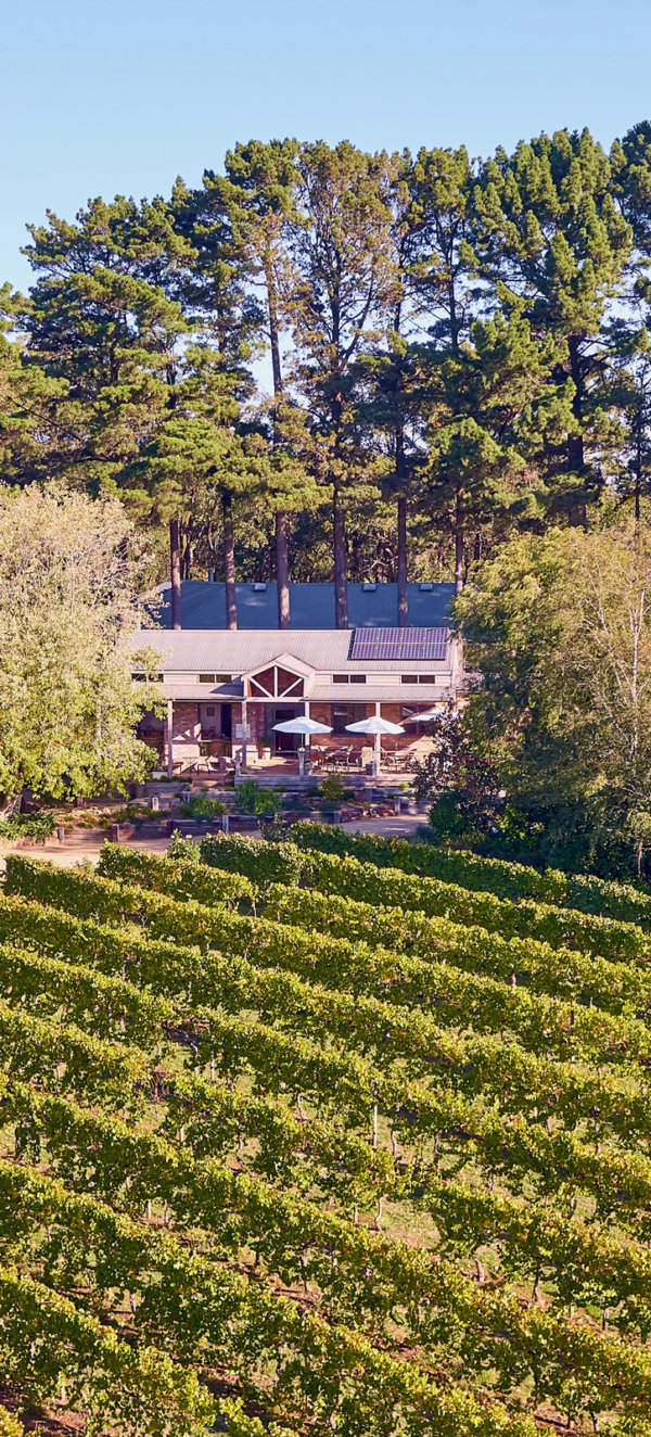 Main Ridge Estate: Great Value In Small Quantities From Australia’s ...