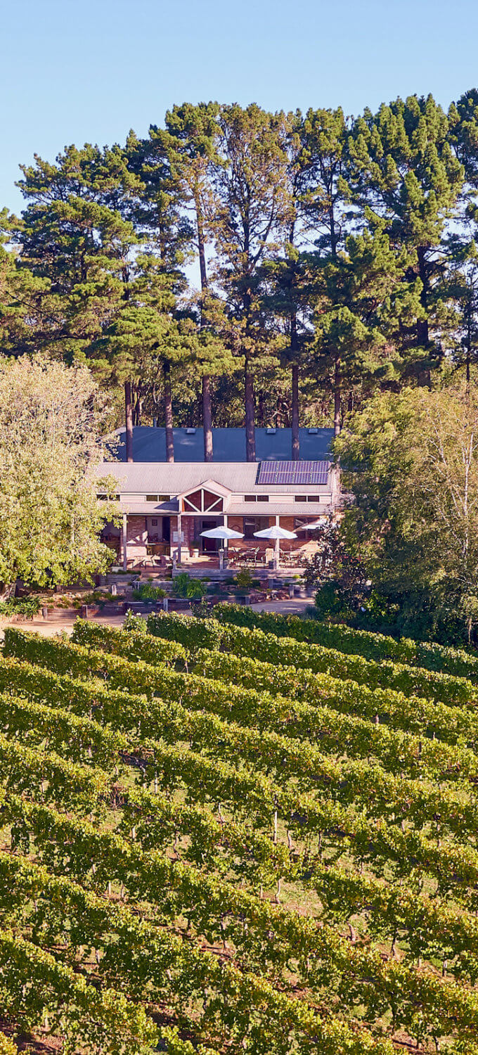 Main Ridge Estate: Great Value In Small Quantities From Australia’s ...