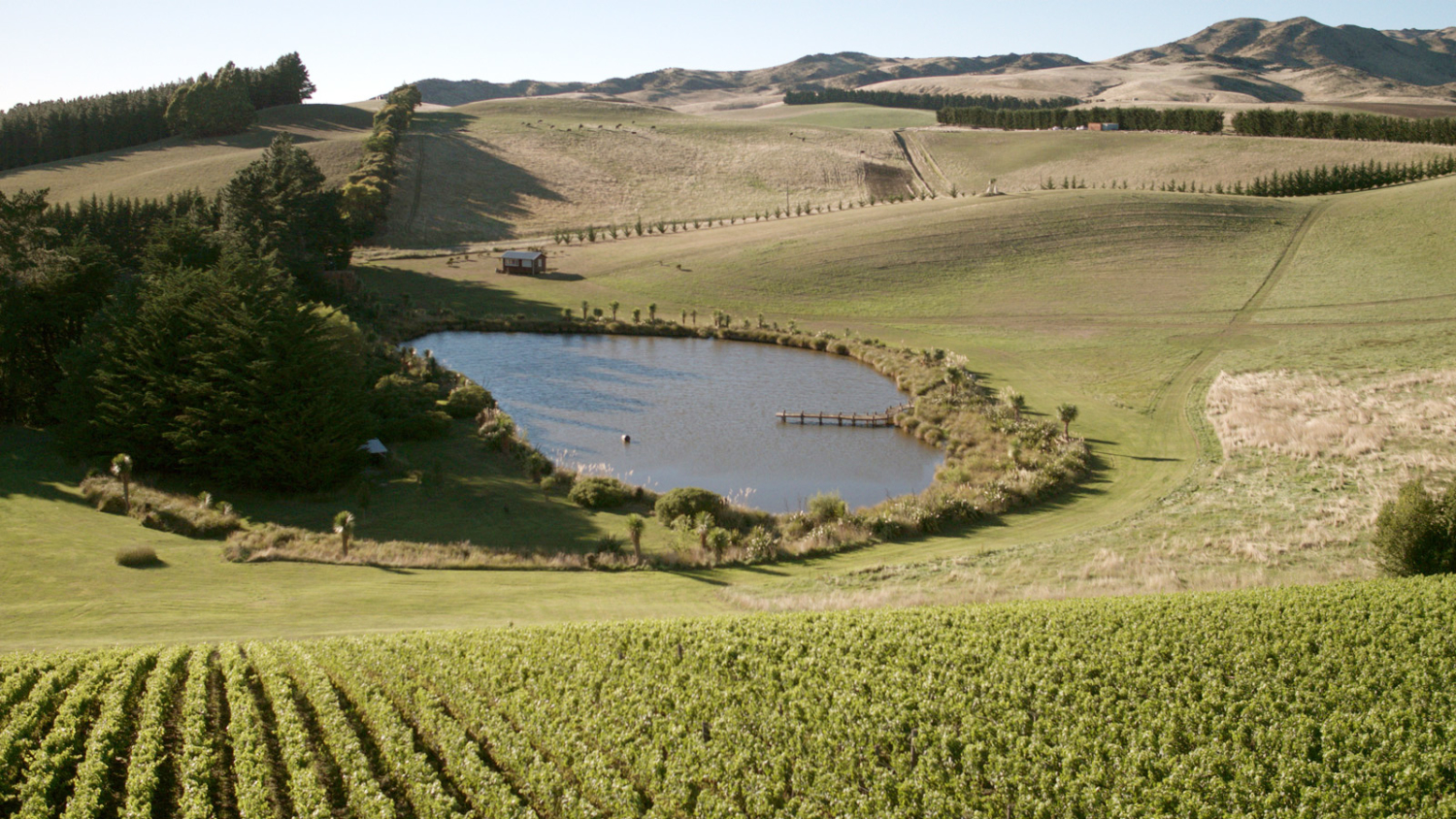 Pyramid Valley Wine From New Zealand: Terroir Taken To The Extreme ...