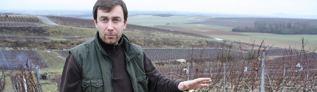 Ulysse Collin: Grower Champagnes With Serious Elegance - Quill & Pad