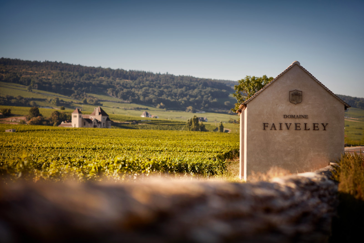 Faiveley: Now One Of Burgundy’s Top Producers And Getting Better And ...