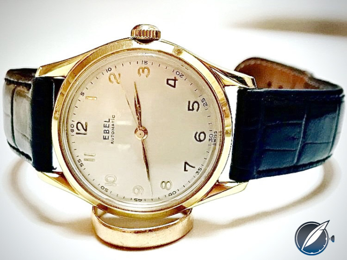 The Unintentional Watch Collector: An Unplanned Watch Collection ...