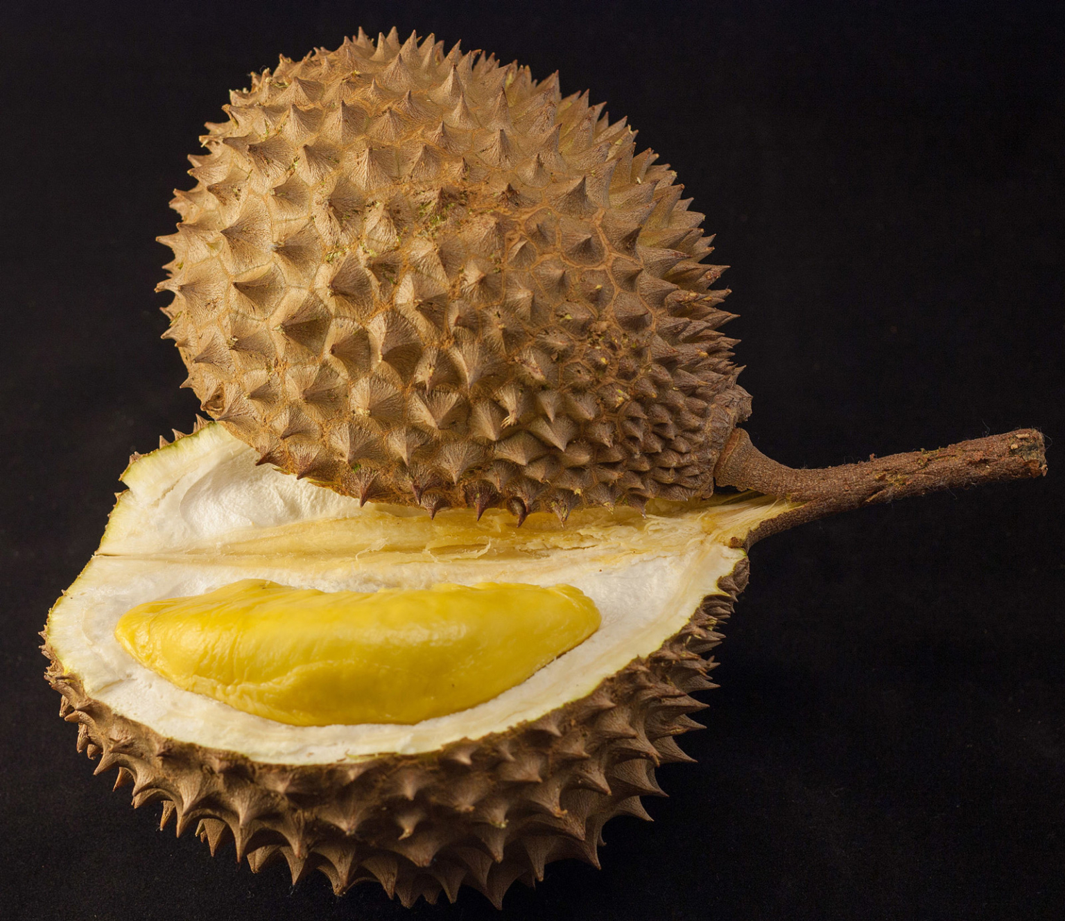 Durian: The King of Fruits – Absolutely Delicious, But the Smell is ...
