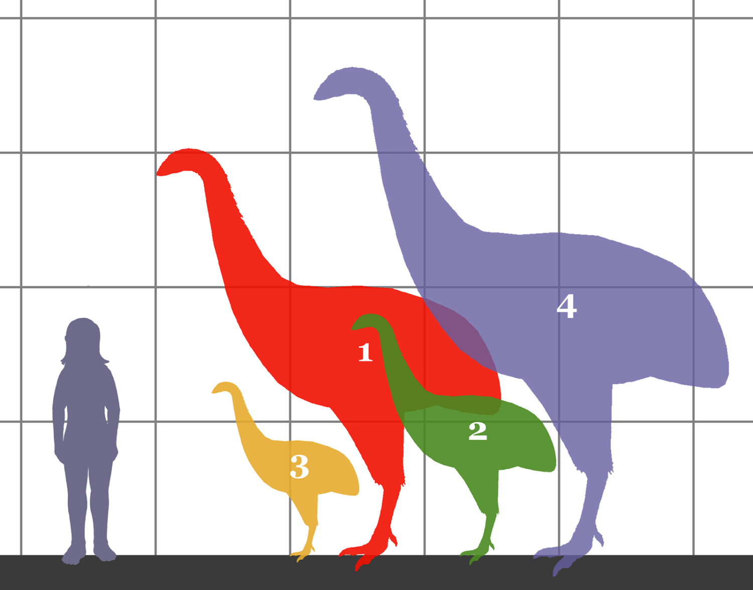 Bell Hill: Sensational Wines from the South Island of New Zealand ...