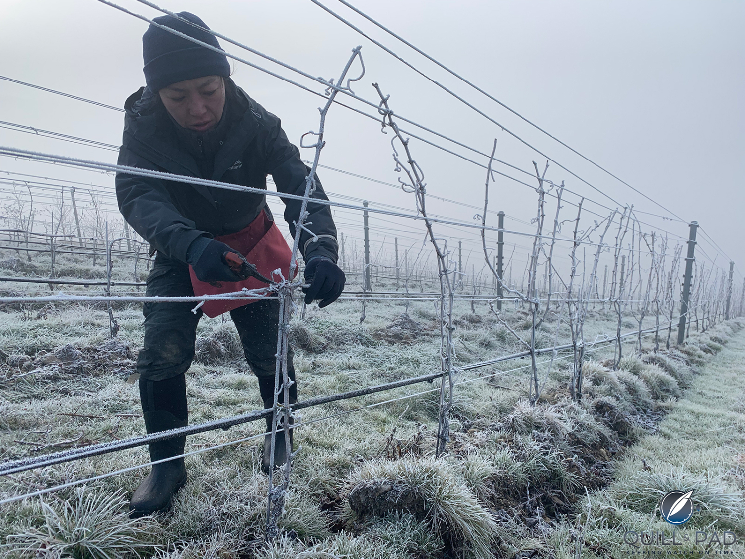 Sato Wines from New Zealand: Japanese Bankers turned Serious Winemakers ...