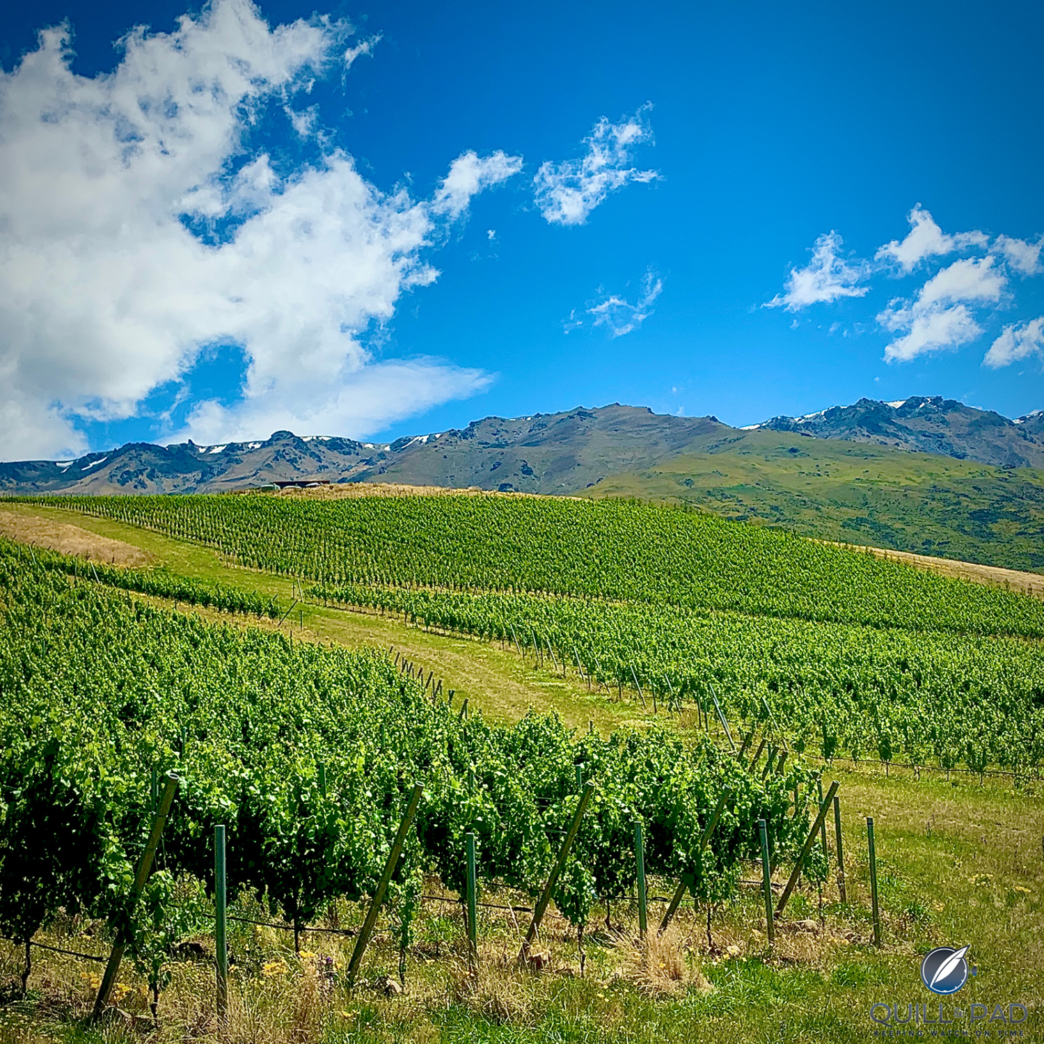 Sato Wines from New Zealand: Japanese Bankers turned Serious Winemakers ...