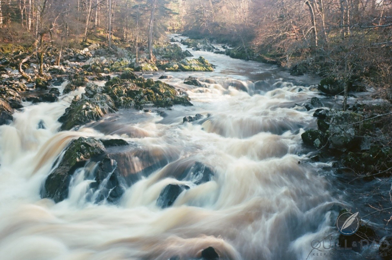 Catching My First Wild Trout Fly Fishing in Scotland - Quill & Pad